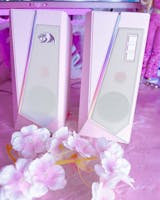 Redragon GS520 RGB Desktop Speakers, Pink – Redragonshop