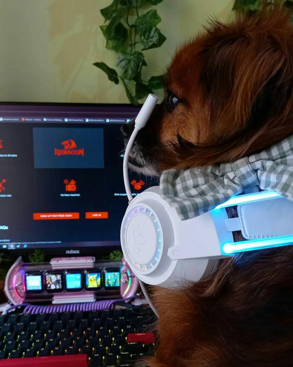 Redragon H231 SCREAM Wired Gaming Headset – Redragonshop