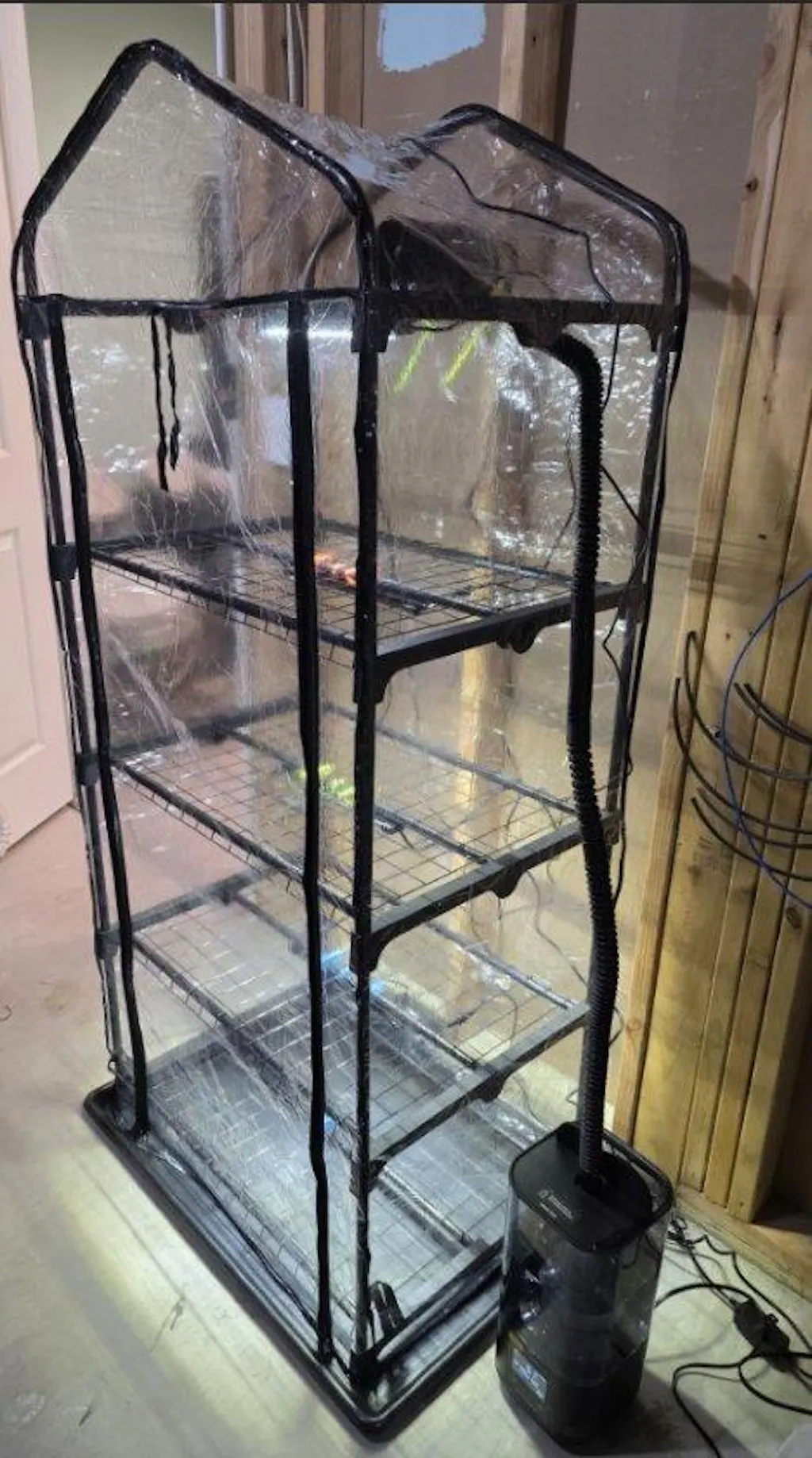 Mushroom Grow Tent Starter Kit | Automated Mushroom Grow Kit – Redwood ...