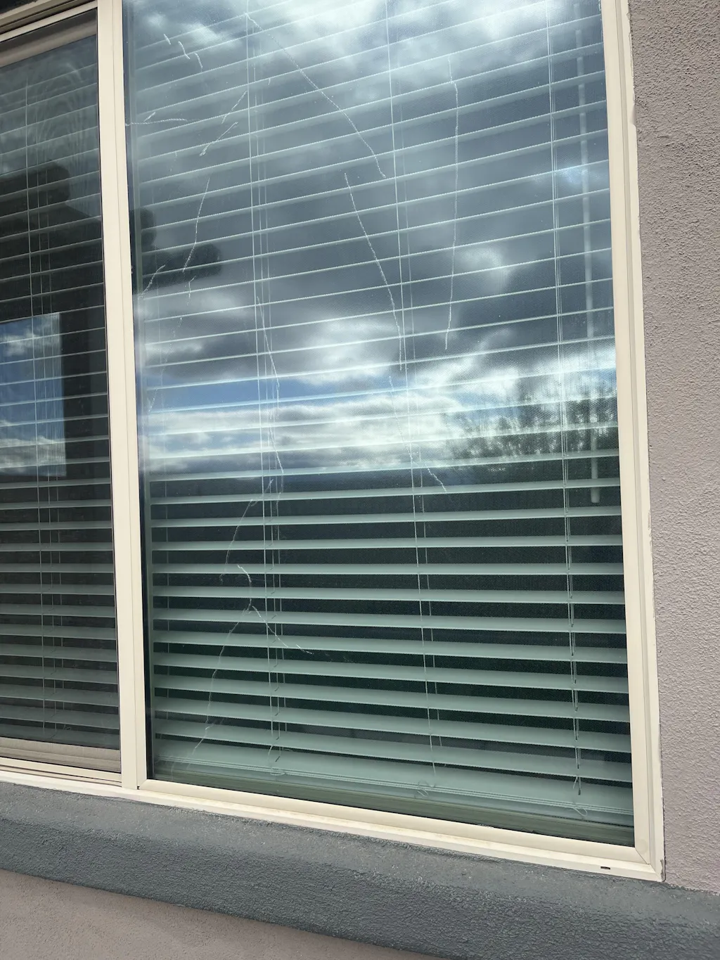 TF-PRO - Anti Reflective Window Film – Reflect Defense Window Film