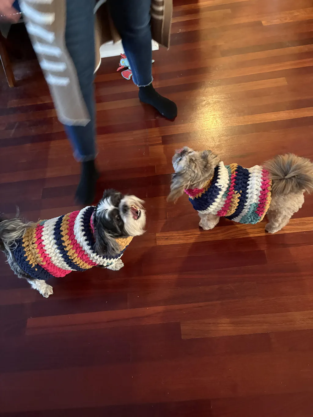 Suki Dog Sweater Pattern – Reiko Fibers