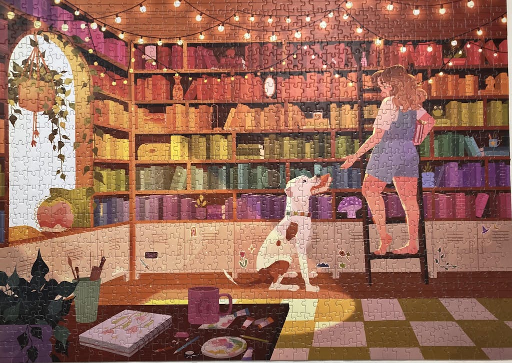 Rainbow Library Jigsaw Puzzle (1000 Pieces) – Reverie Puzzles