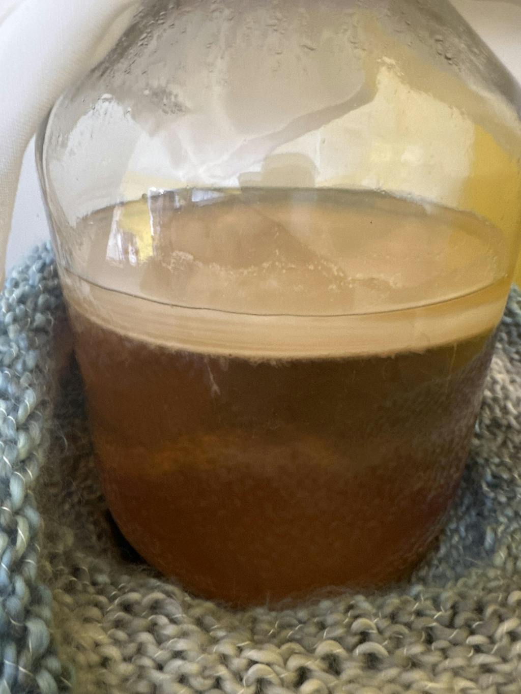 Jun Scoby (Honey Kombucha) | Revolution Fermentation Canada