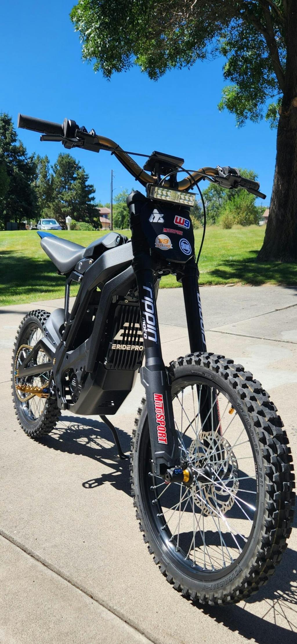 E Ride Pro SS Wheel Assembly 17" – REVRides