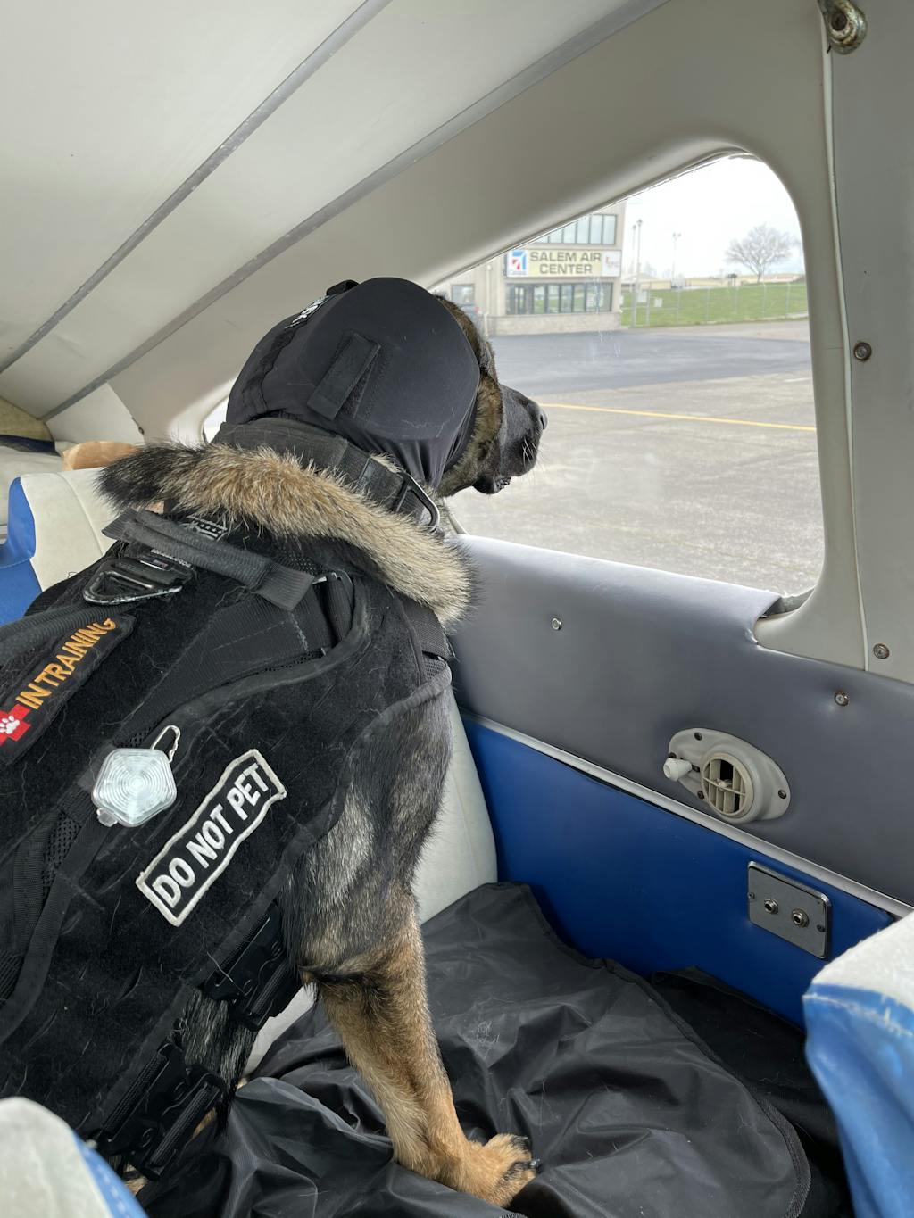 Ear Pro – Rex Specs