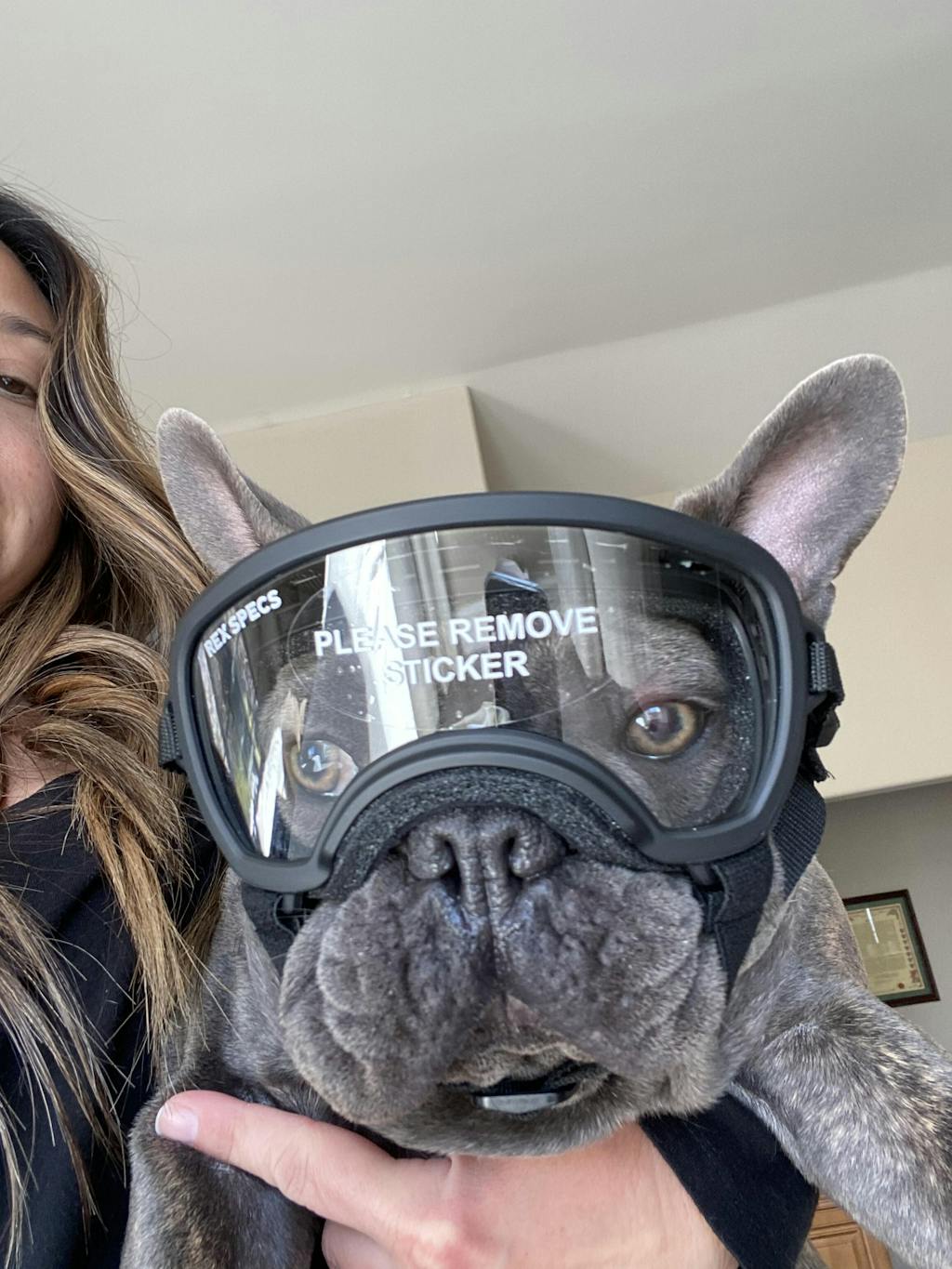 Small Wide Goggle – Rex Specs