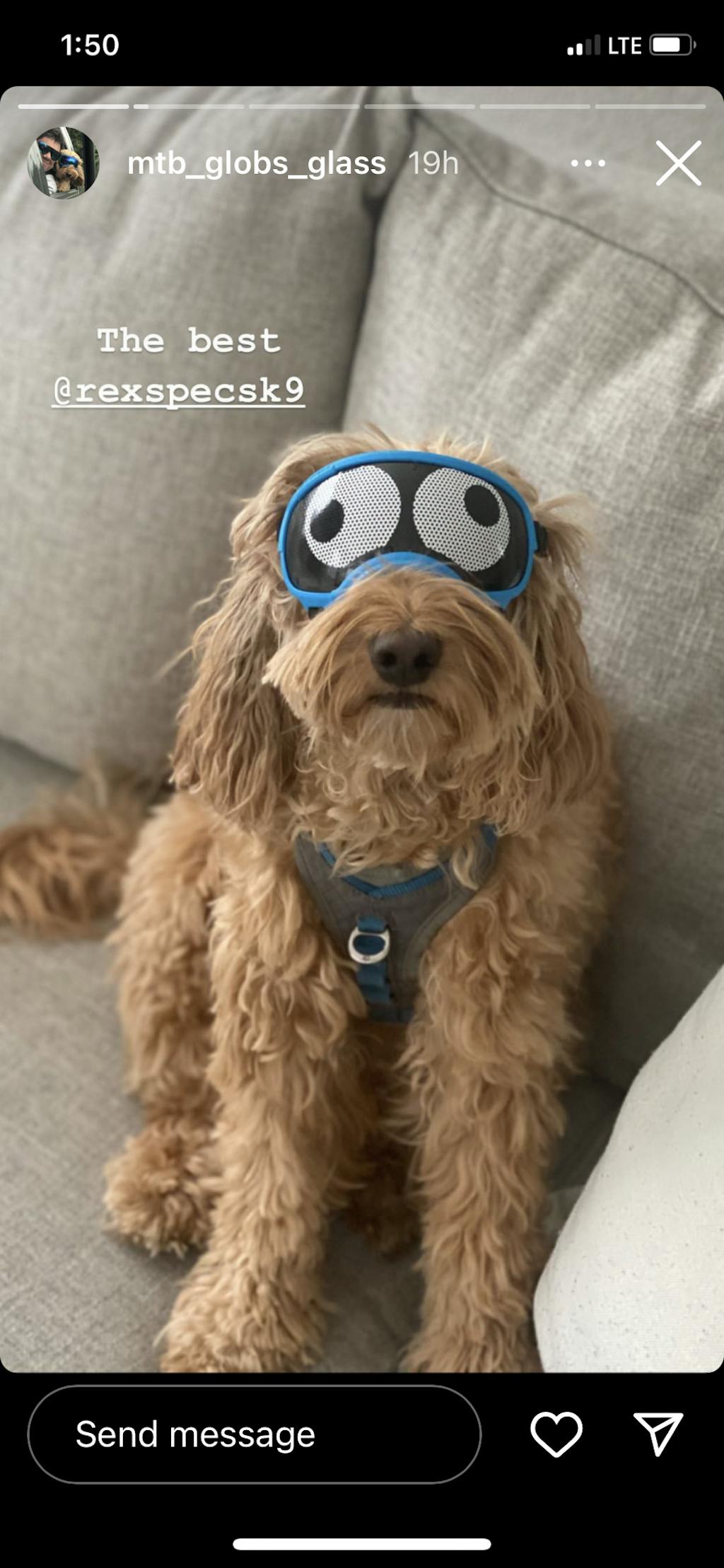 Lens Wraps – Rex Specs