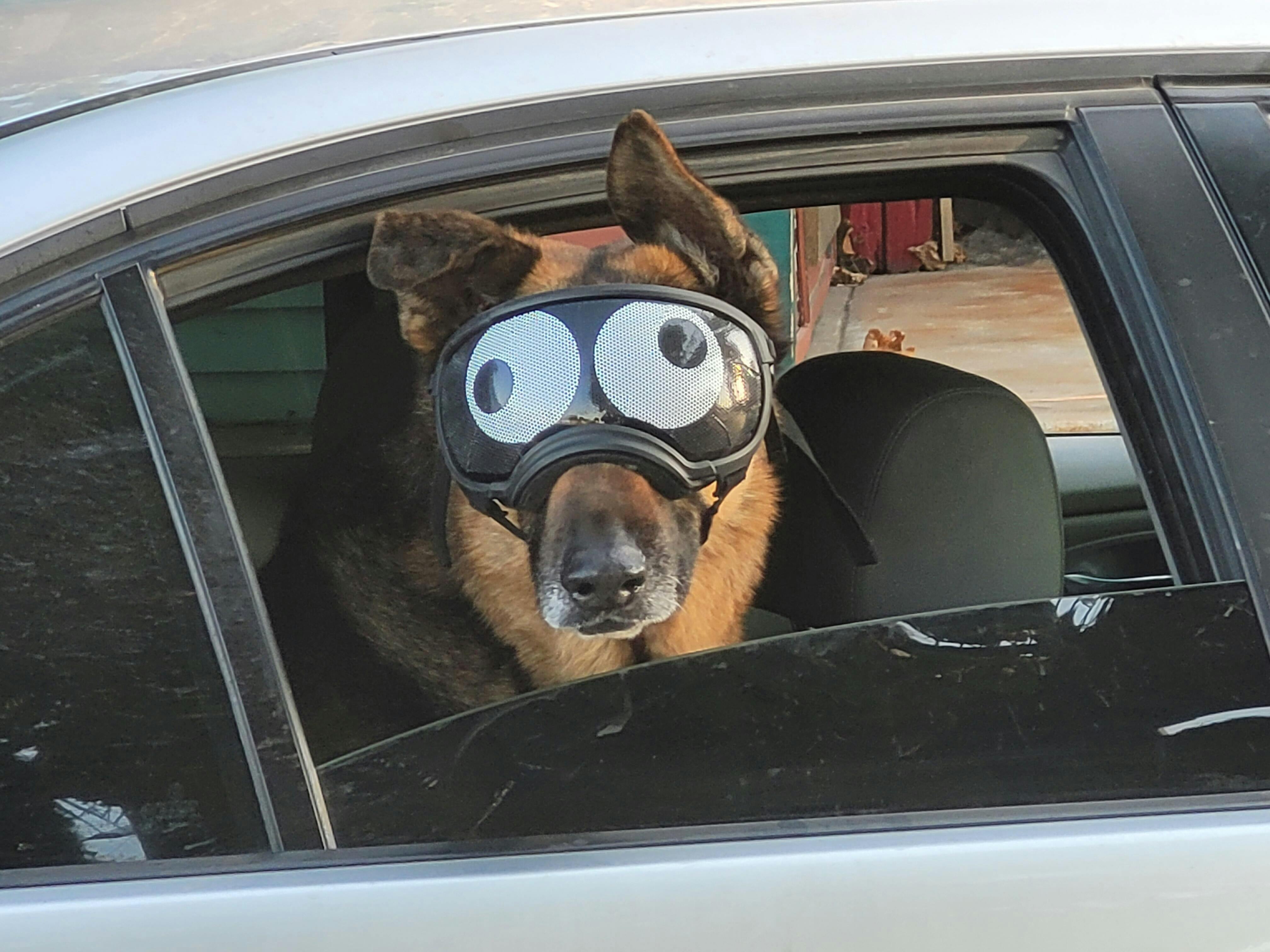 Lens Wraps – Rex Specs