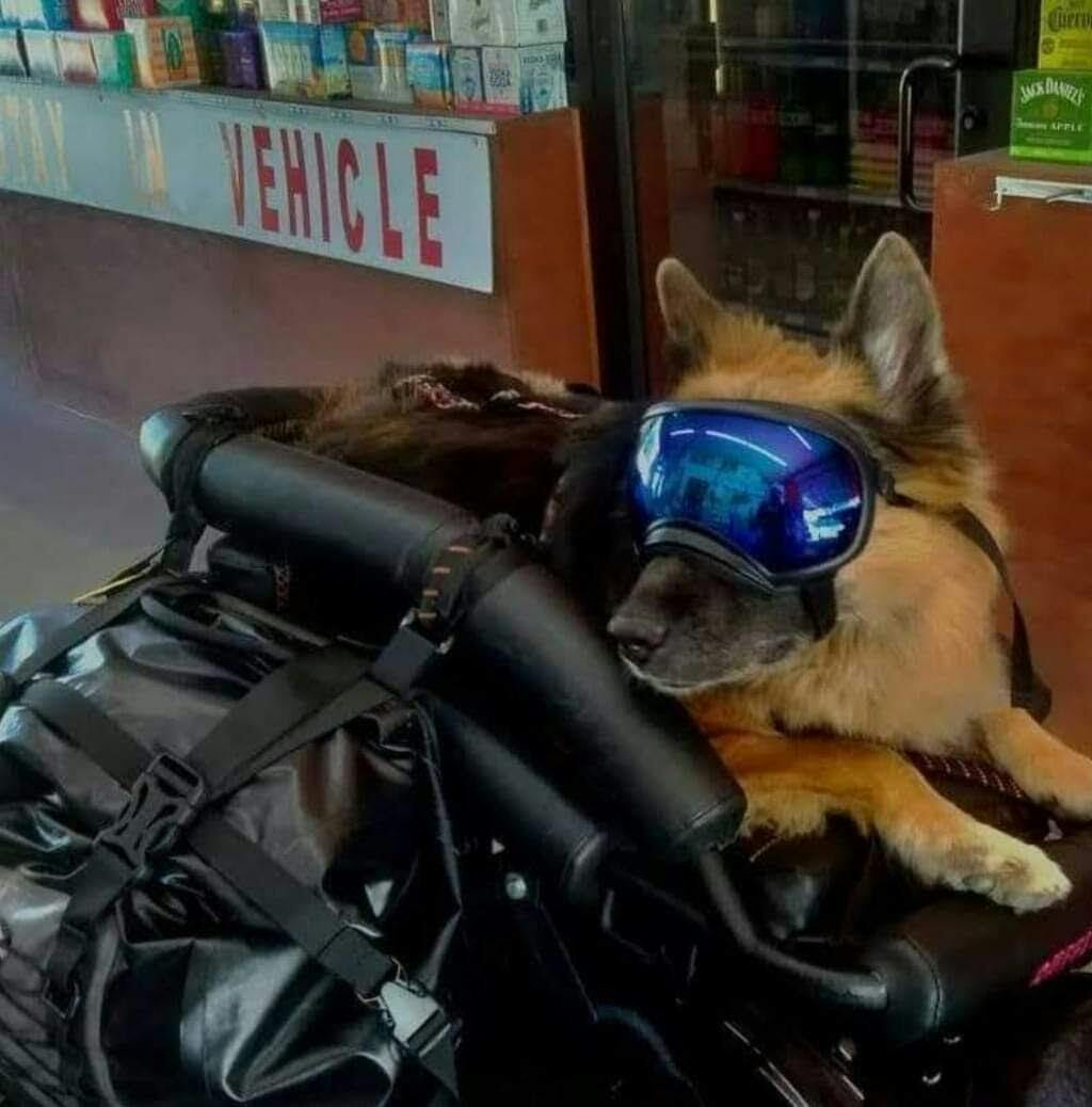 Lens Wraps – Rex Specs