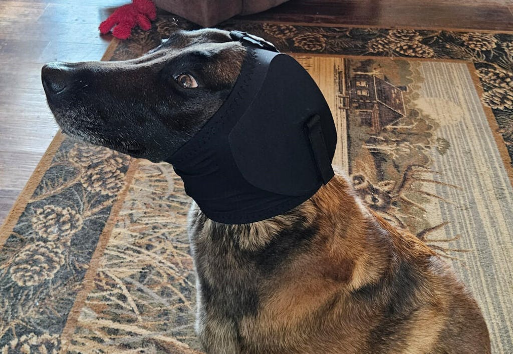 Ear Pro | Dog Ear & Hearing Protection | Rex Specs