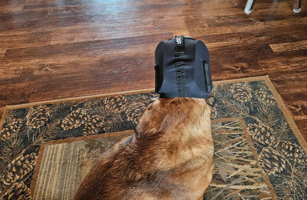 Ear Pro | Dog Ear & Hearing Protection | Rex Specs