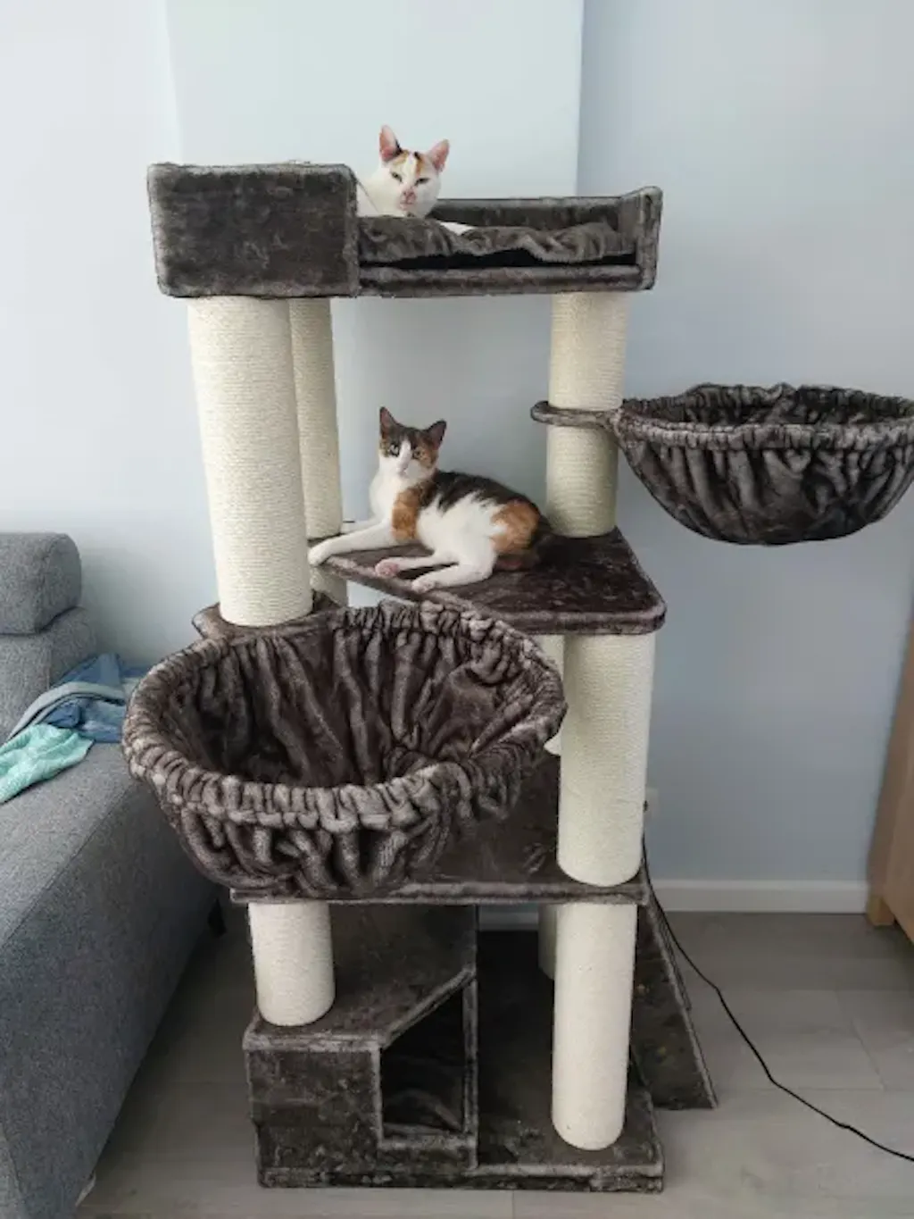 Cat Trees | Cat Towers & Tree Houses | Cat Tree King Australia