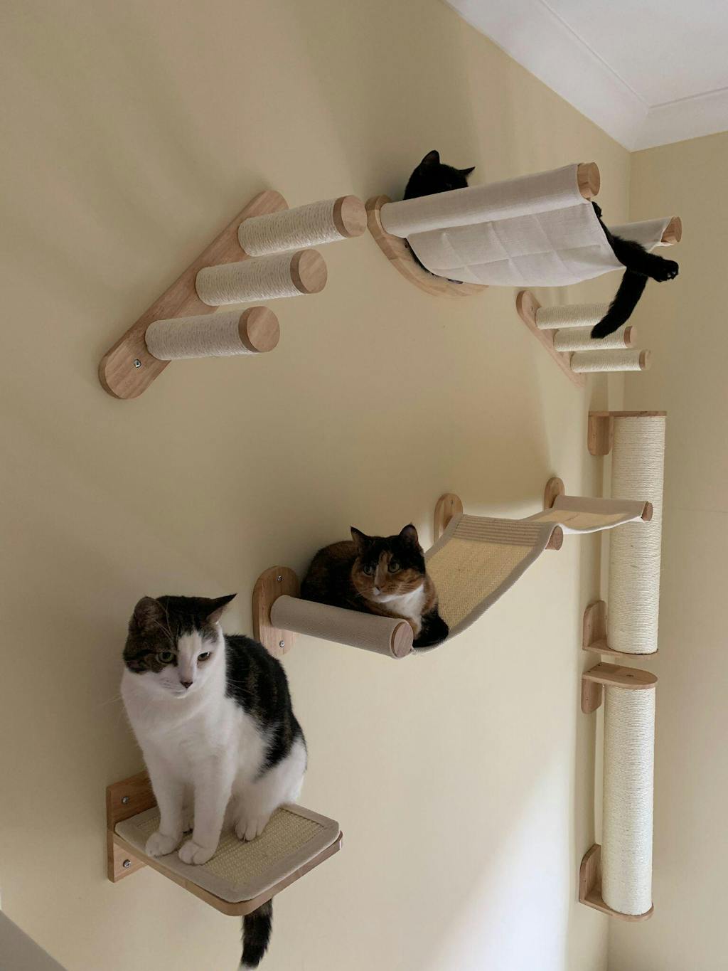 Cat Climbing Wall - Hammock de Luxe XXL (Beige) - CatTreeKing USA