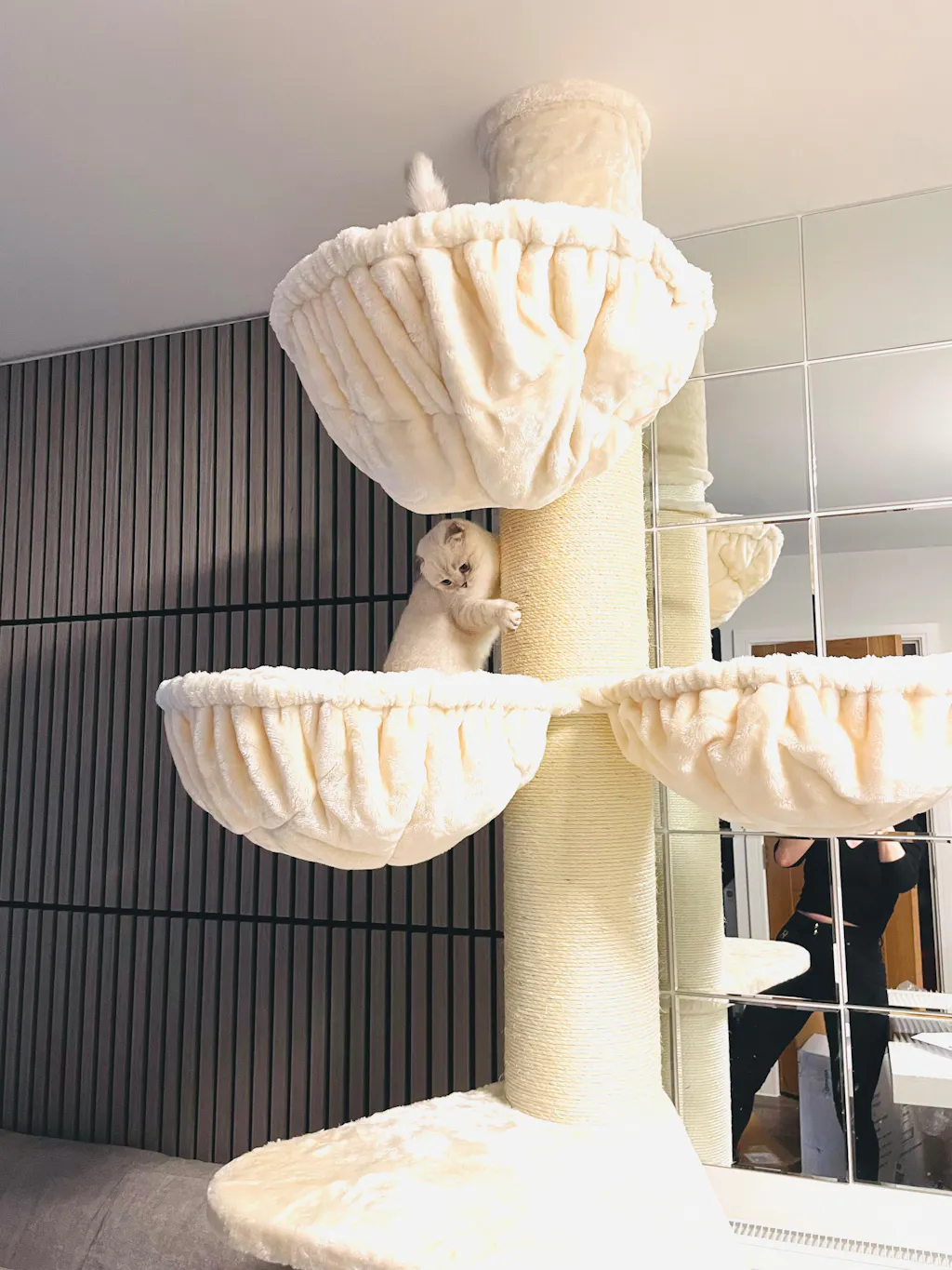 Cat Tree for large cats Royal Cat Palace (Blackline Light Grey ...