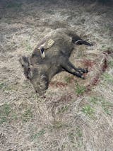 WATCHMAN XR 22 ARC AR-15 Rifle - RISE Armament