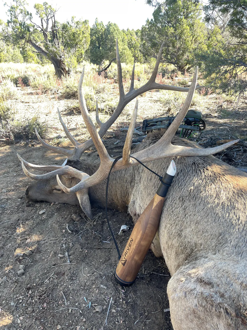 Riven Cambium Elk Bugle Tube