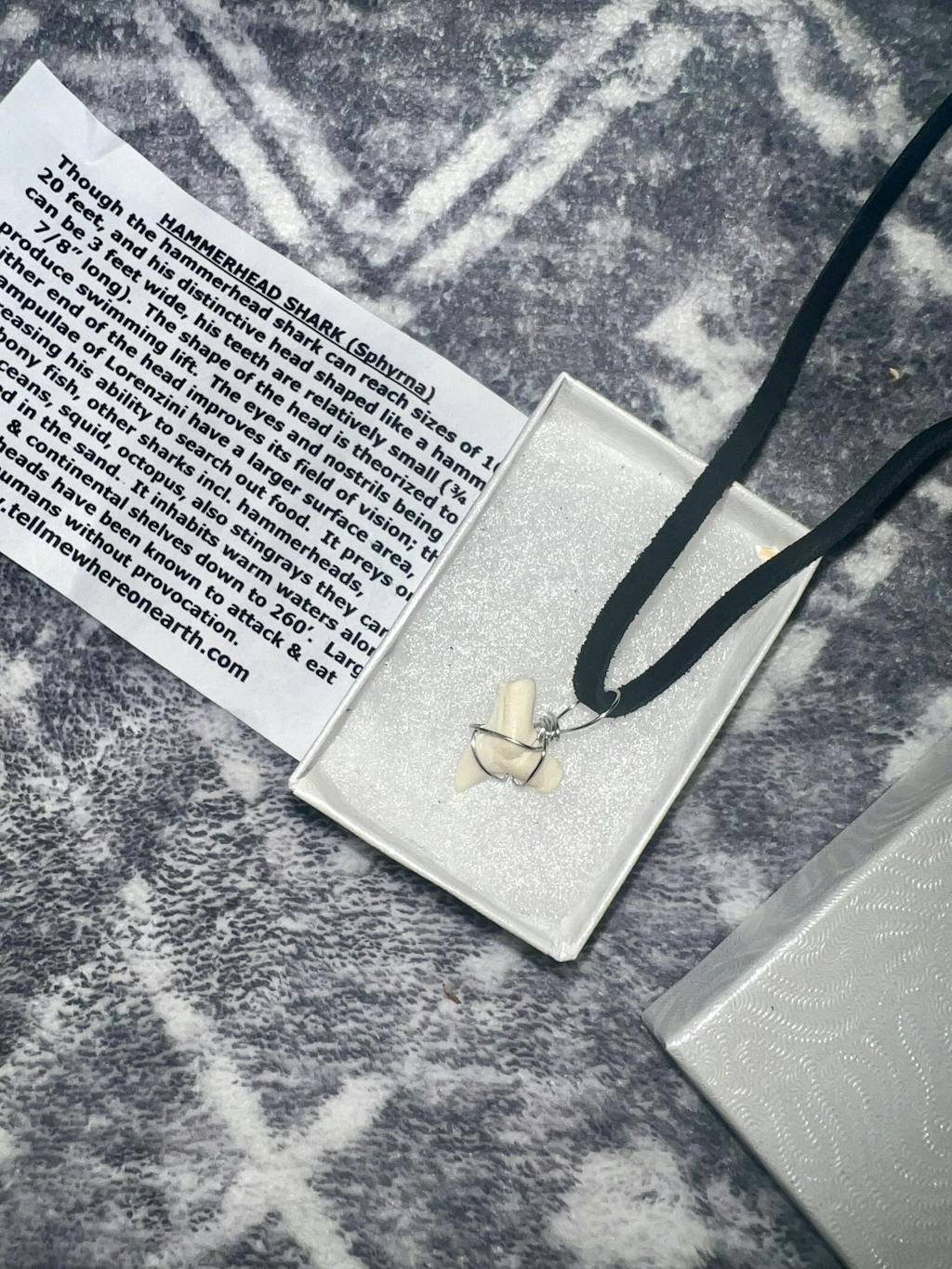 Hammerhead Shark Tooth Necklace 1 Inch Long Genuine & Unrestored ...