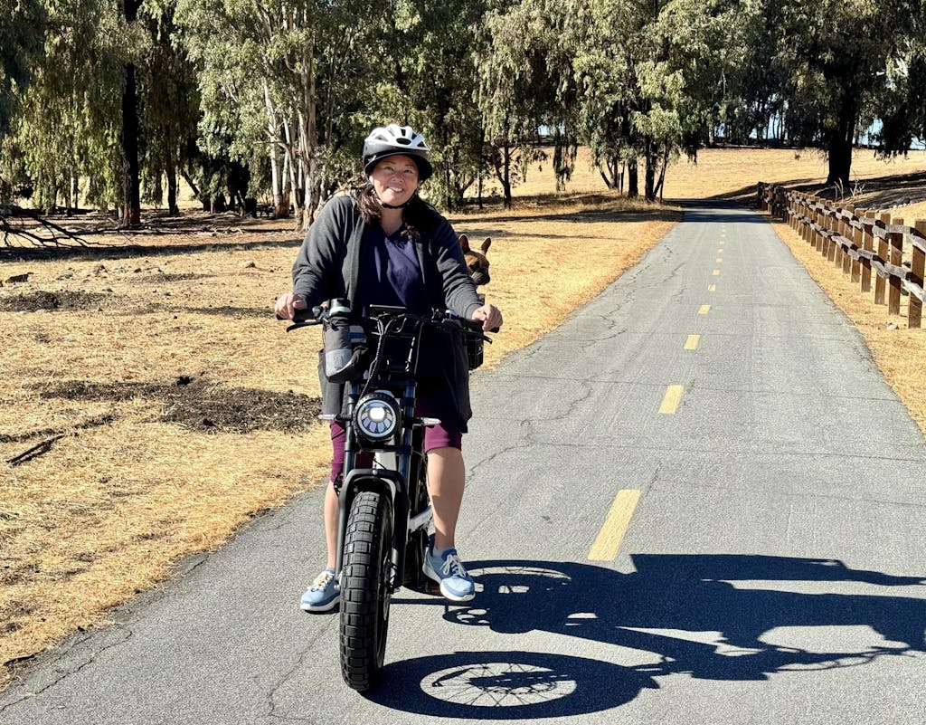 EMMA 3.0-First Torque Sensor Moped-style Ebike – Roll Road Ebike