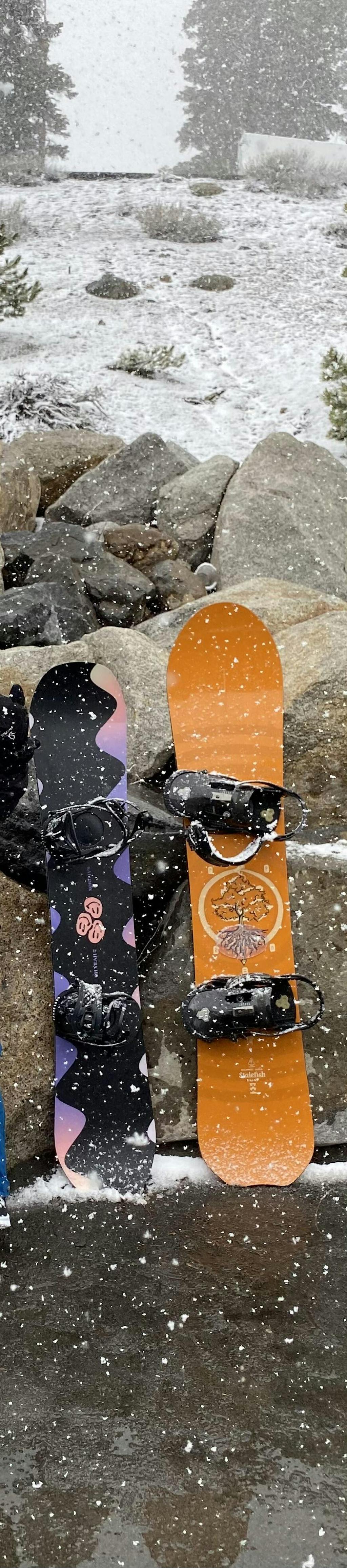 Rome Stale Fish Men's Snowboard 2025/2026 – Rome US