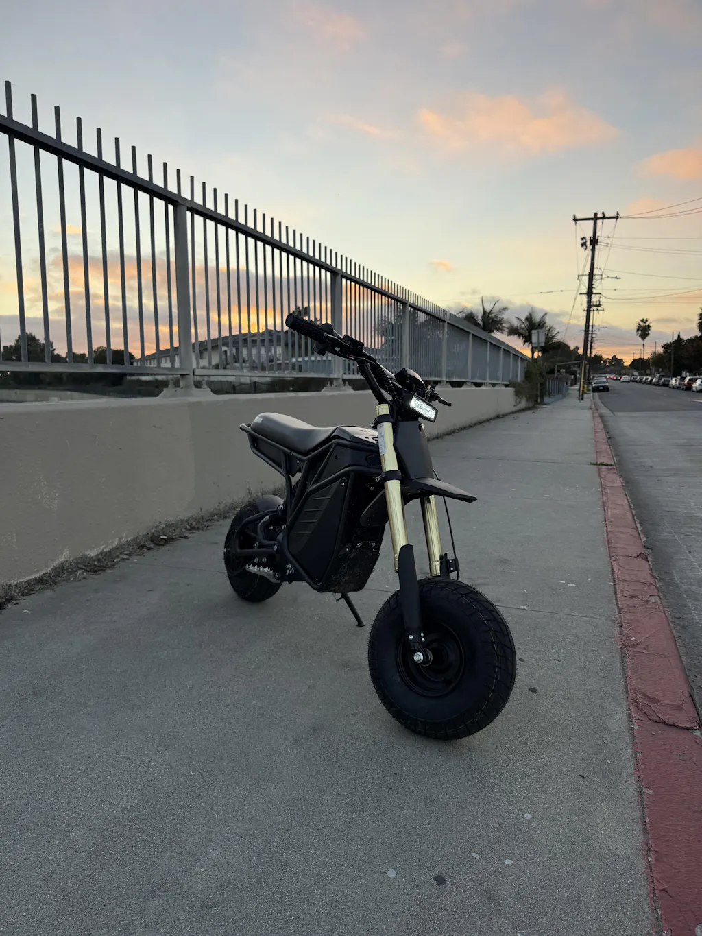 The Rizzler Bike – Ronster Rides