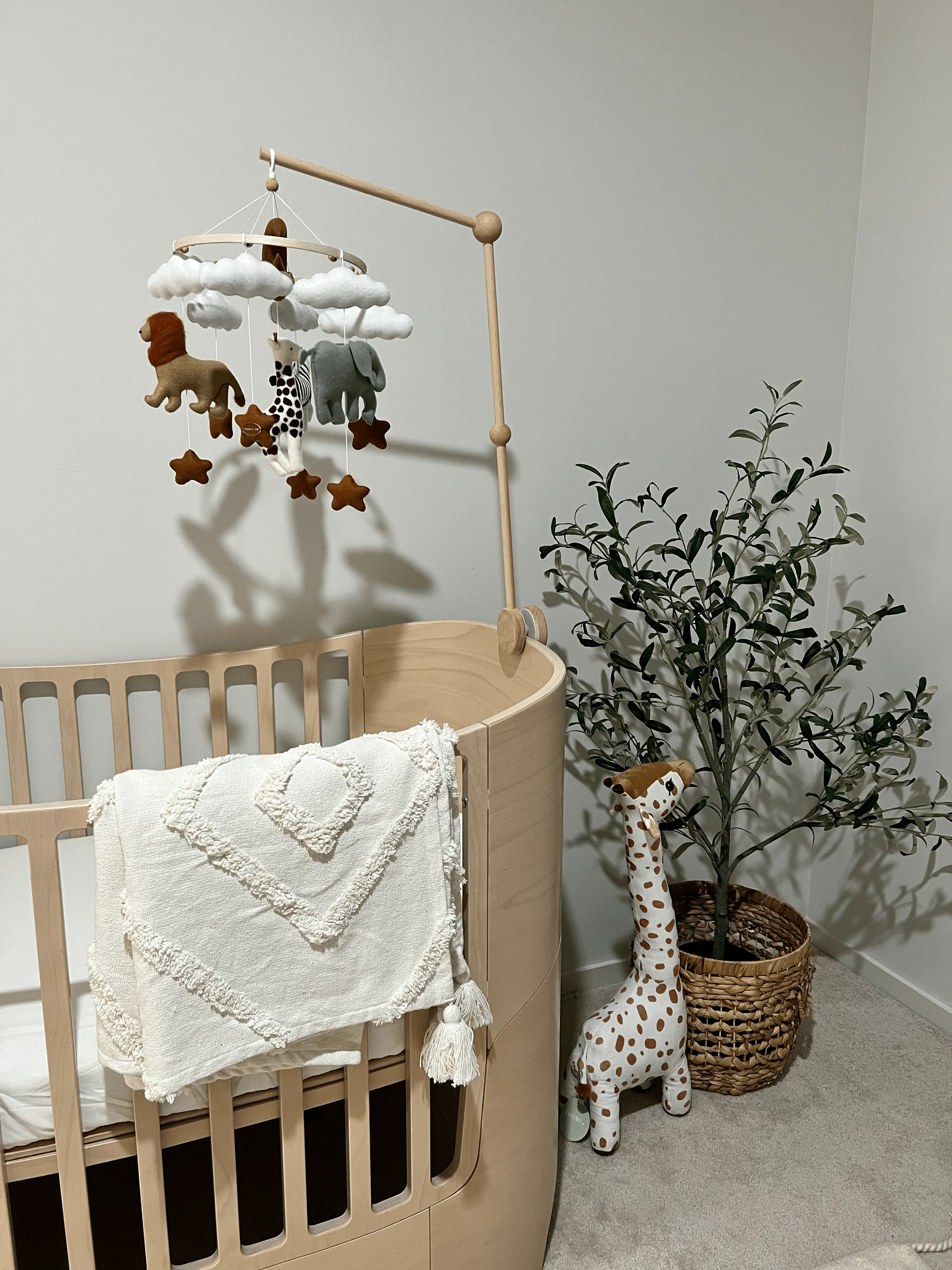 Sunset Safari – roomi and me