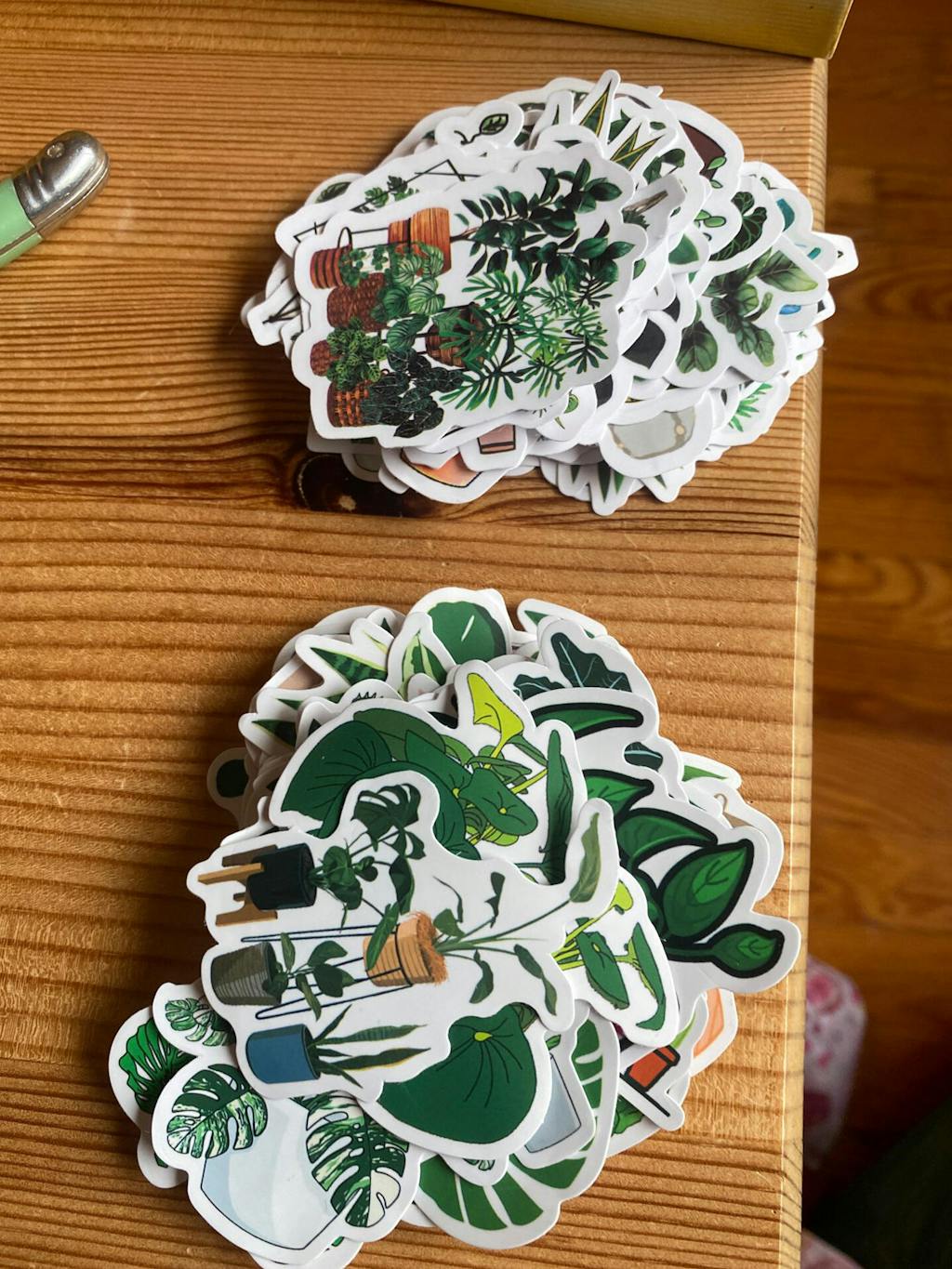 Fresh Greenery Sticker Pack - Shop Online on roomtery