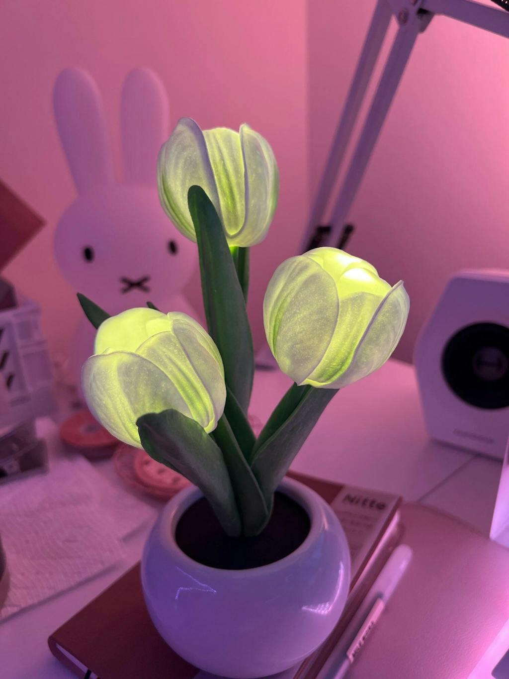 Mini Potted Tulip LED Night Light - Shop Online on roomtery