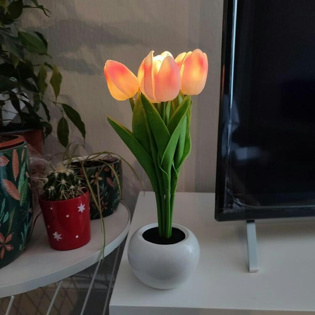 Mini Potted Tulip LED Night Light - Shop Online on roomtery