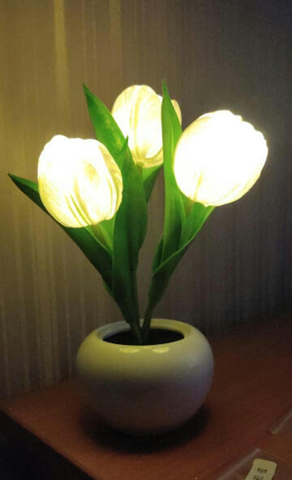 Mini Potted Tulip LED Night Light - Shop Online on roomtery