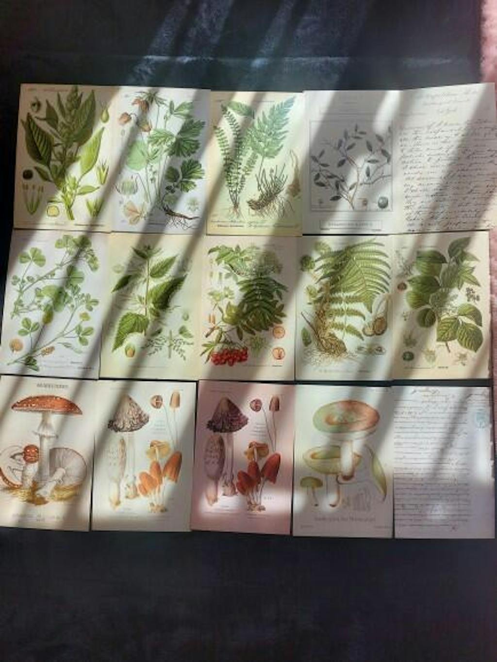 Cottagecore Butterflies Wall Collage Postcards - Shop Online on roomtery