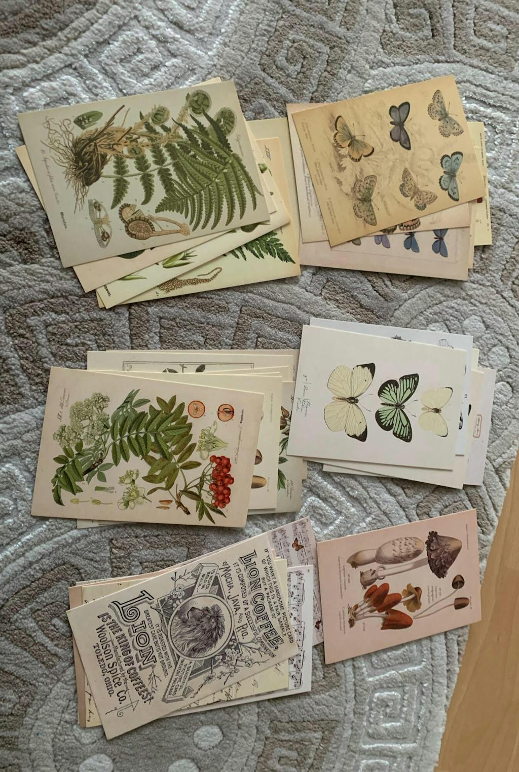 Cottagecore Butterflies Wall Collage Postcards Shop Online On Roomtery