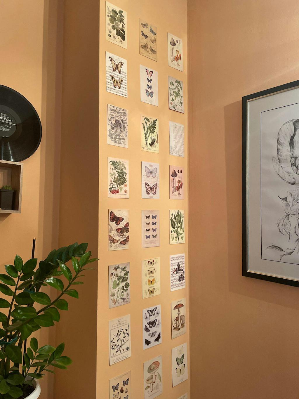 Cottagecore Butterflies Wall Collage Postcards Shop Online On Roomtery