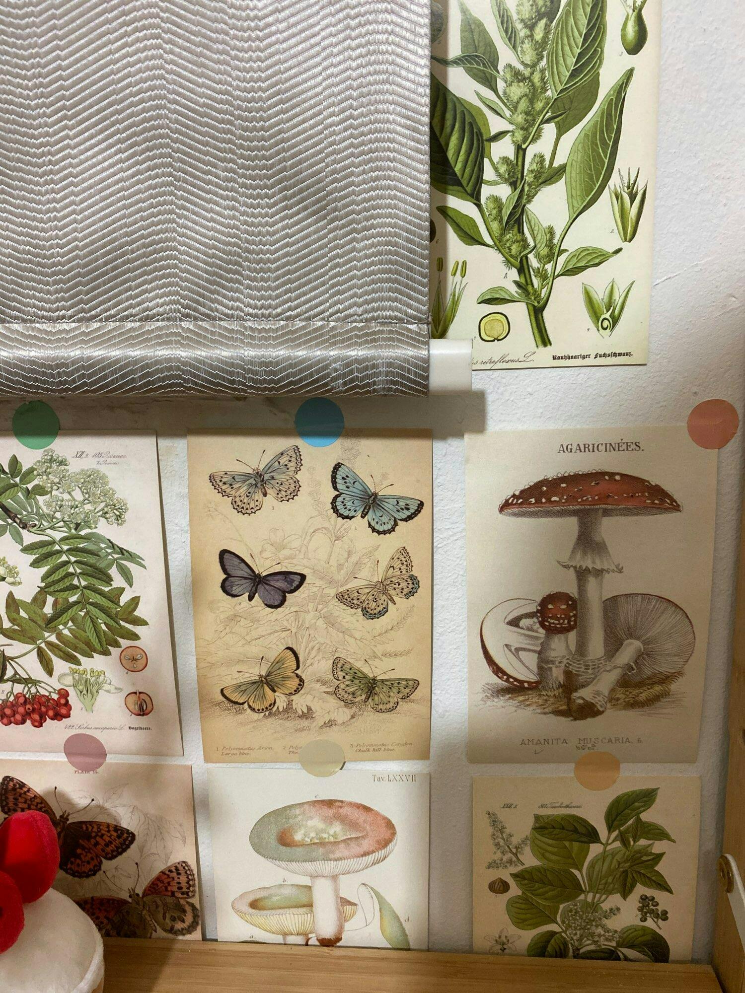 Cottagecore Butterflies Wall Collage Postcards Shop Online On Roomtery