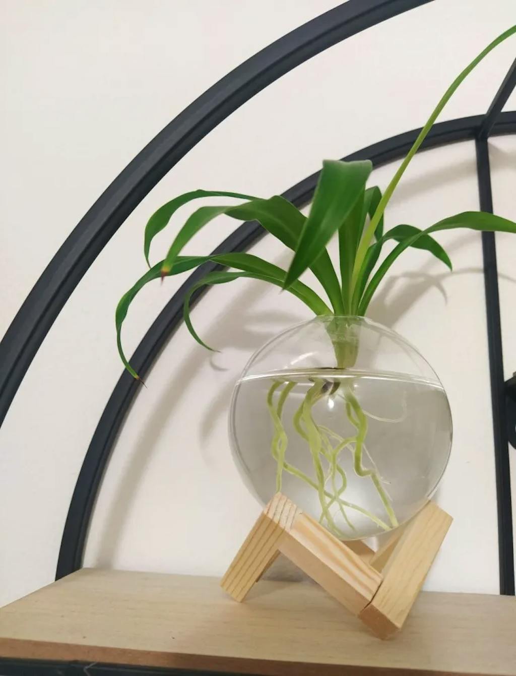 Mini Glass Bubble Vase Aesthetic Room Desk Decor