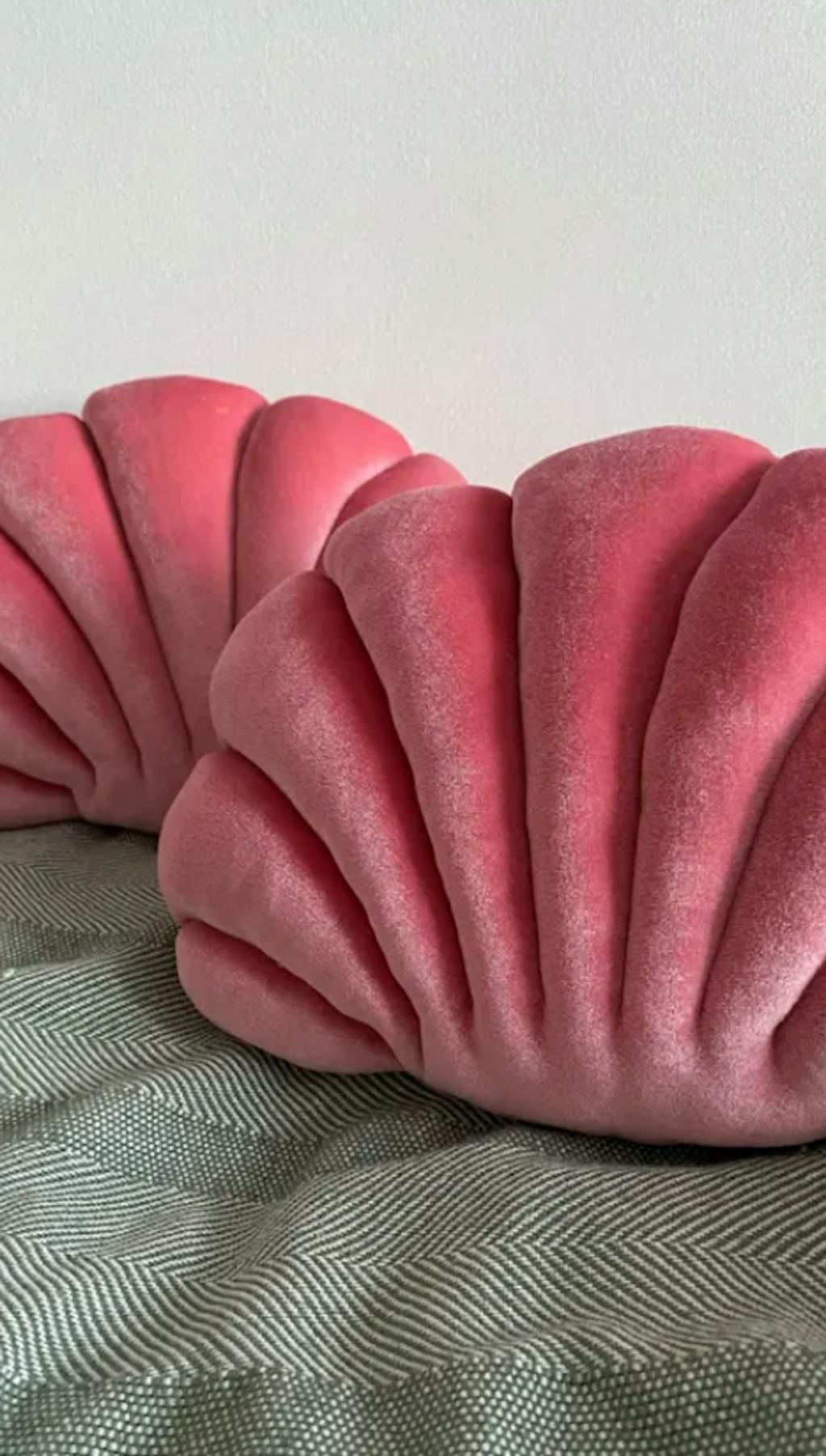 Sea Shell Velvet Throw Pillow - Shop Online on roomtery