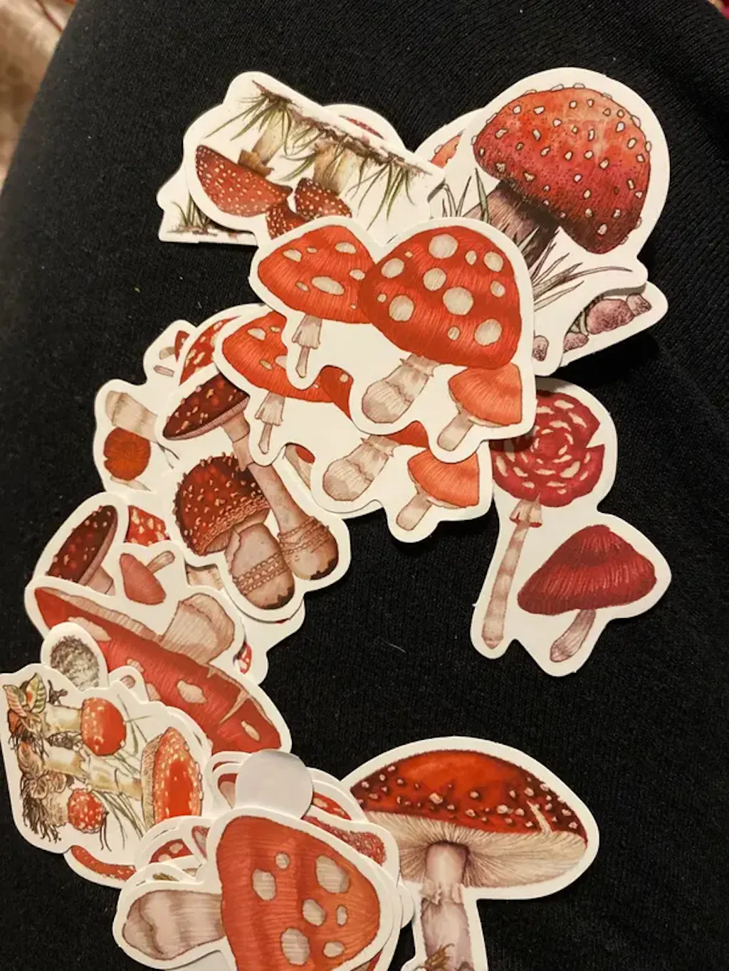 Vintage Red Mushroom Sticker Pack - Shop Online on roomtery
