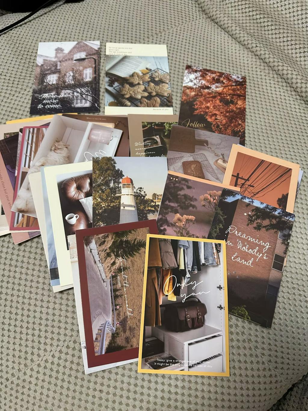 Autumn Sunny Days Wall Collage Cards - Shop Online on roomtery