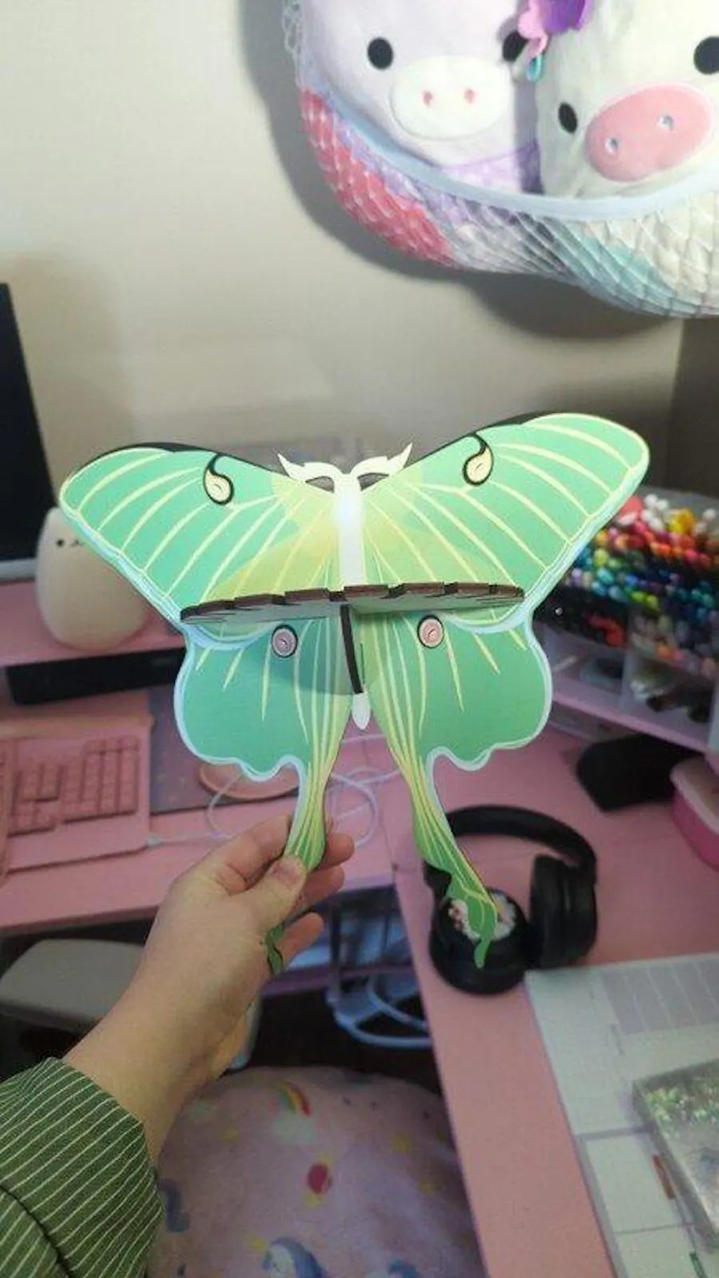 Luna Moth Wall Display Shelf