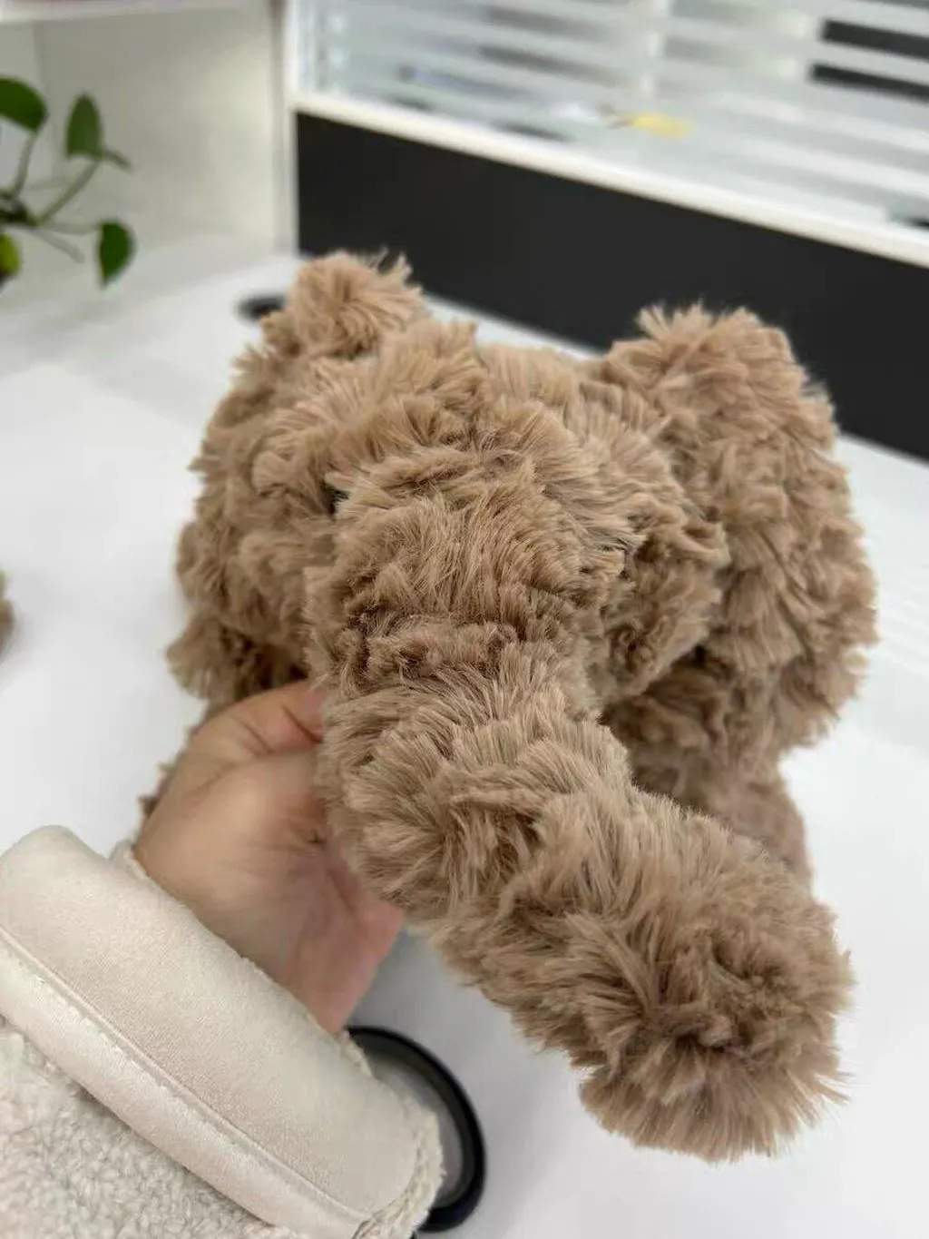 Baby Elephant Plush Toy - Shop Online on roomtery