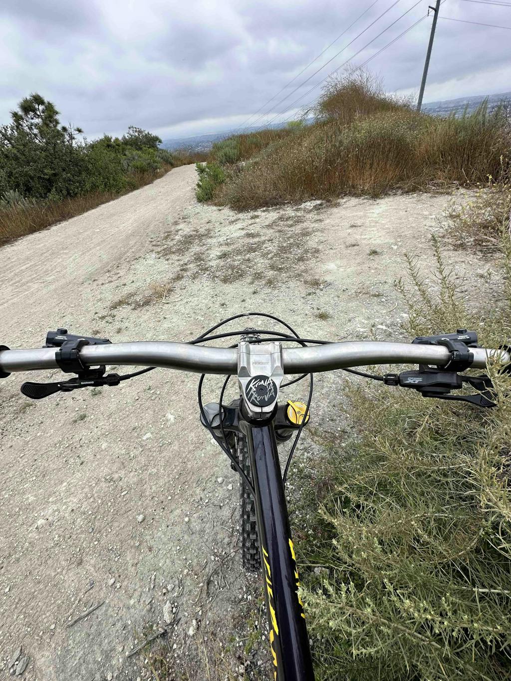 Roost Titanium Riser Handlebars - Roost bike