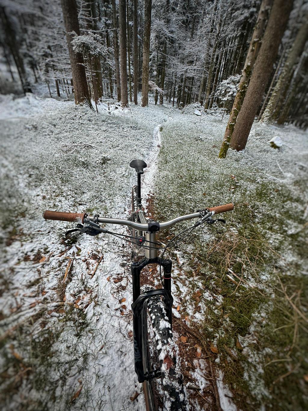 Roost Titanium Riser Handlebars - Roost bike