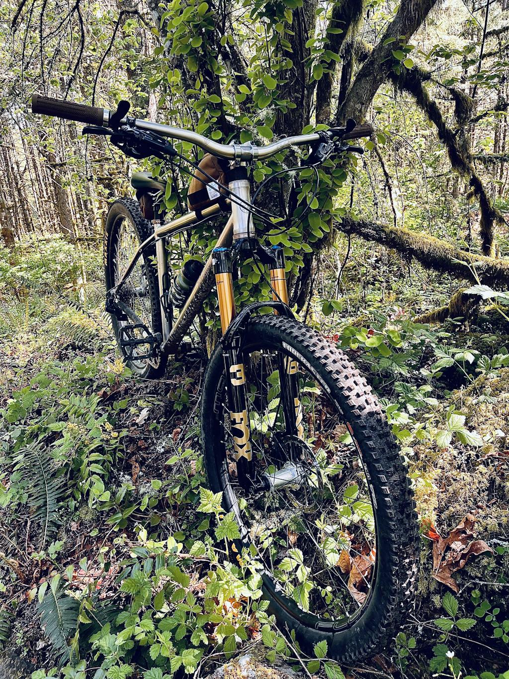 Roost Titanium Handlebars - Roost bike