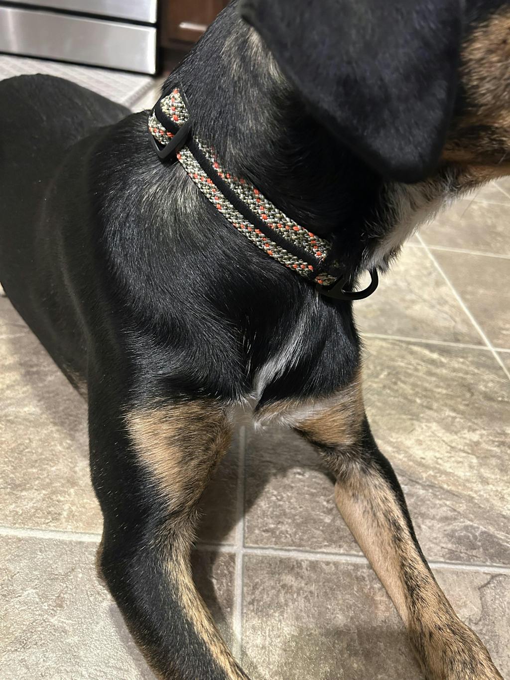 Rope Hounds Durable Rope Dog Collar