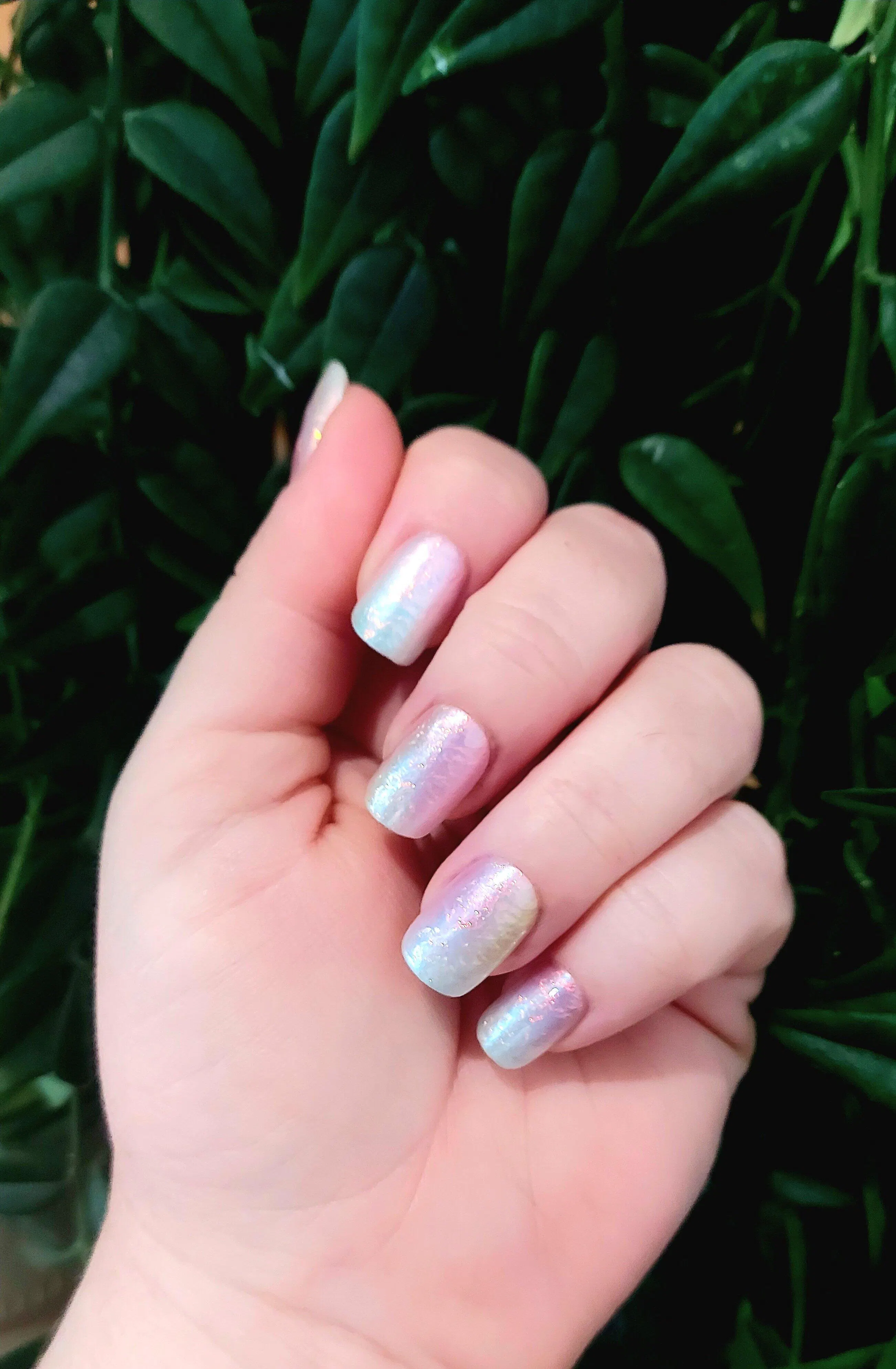 Kits de Faux Ongles | Roxy Nails Paris | Clean aesthetic – ROXY NAILS PARIS