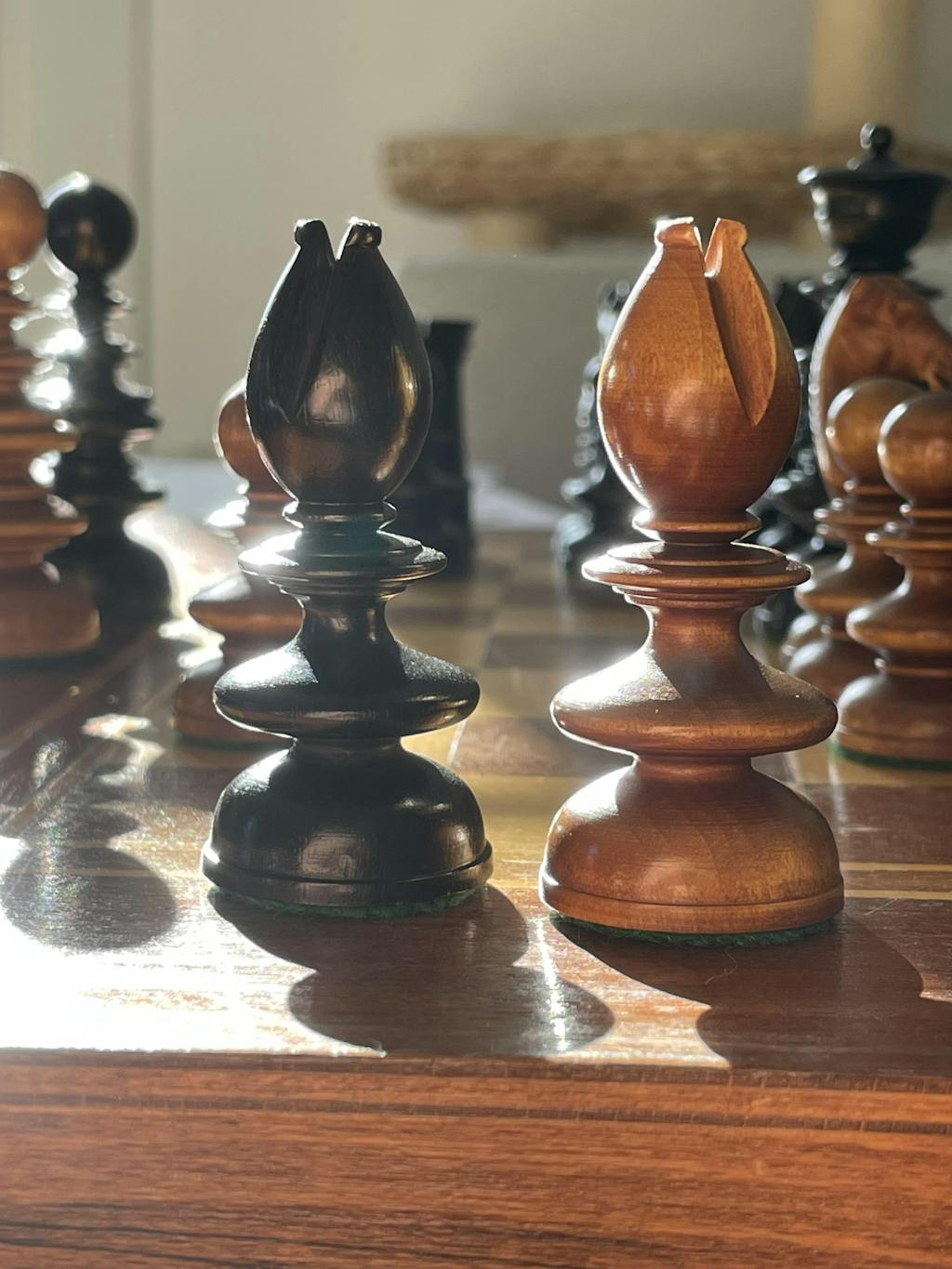 Chess Set - Buy Premium Quality Chess Sets | Royal Chess Mall