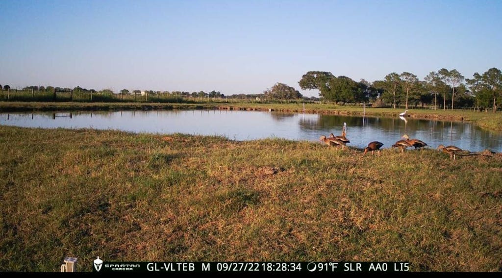 RPS 400 Solar Well Pump Kit – RPS Solar Pumps