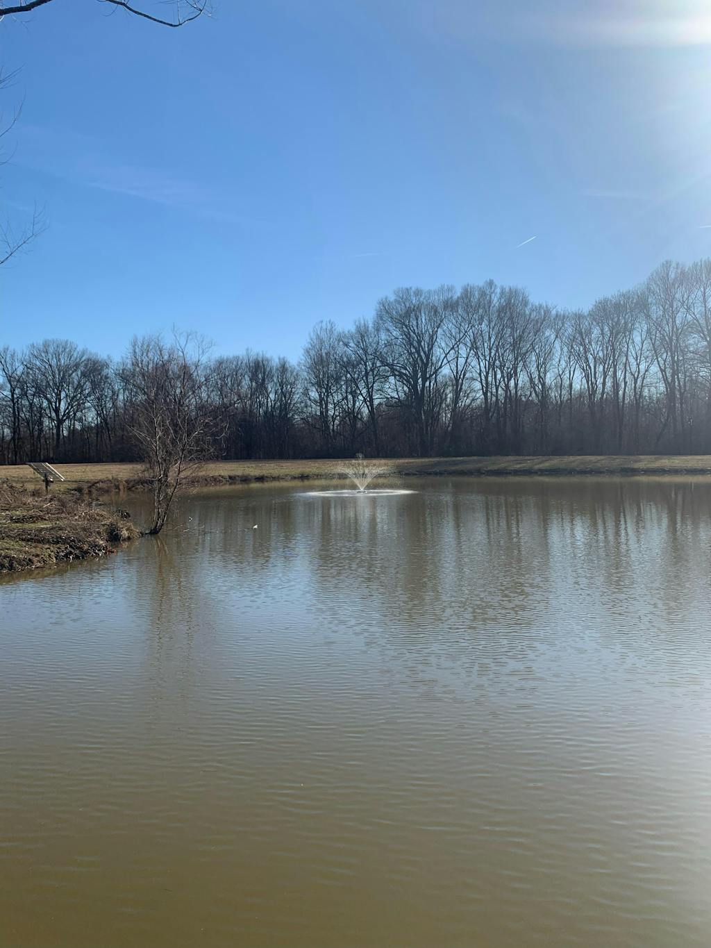 RPS Solar Fountain Series – RPS Solar Pumps