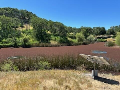 RPS AIR-ation Kits - Solar Pond Aeration System with Brushless Solar A ...