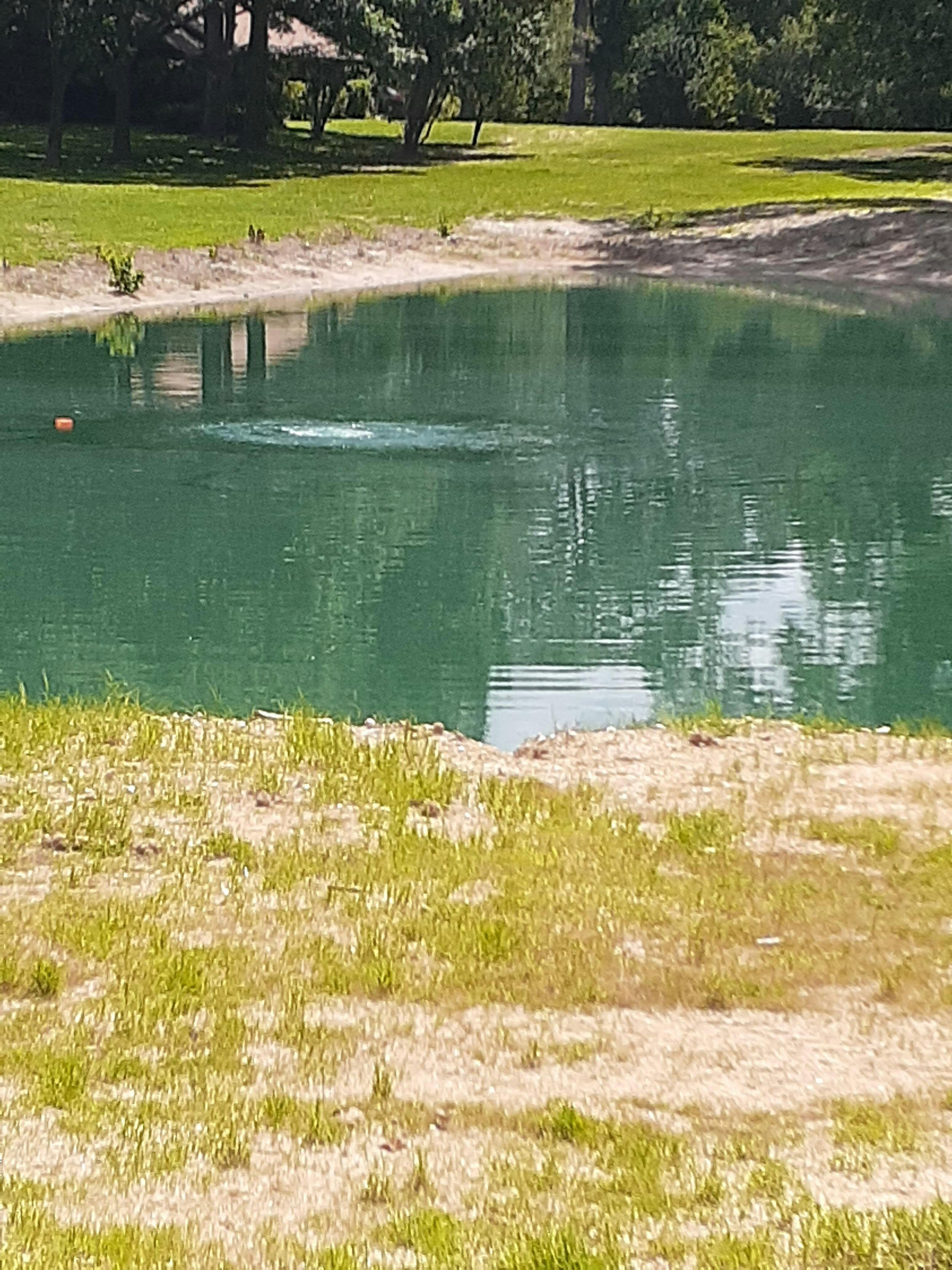 RPS AIR-ation Kits - Solar Pond Aeration System with Brushless Solar A ...