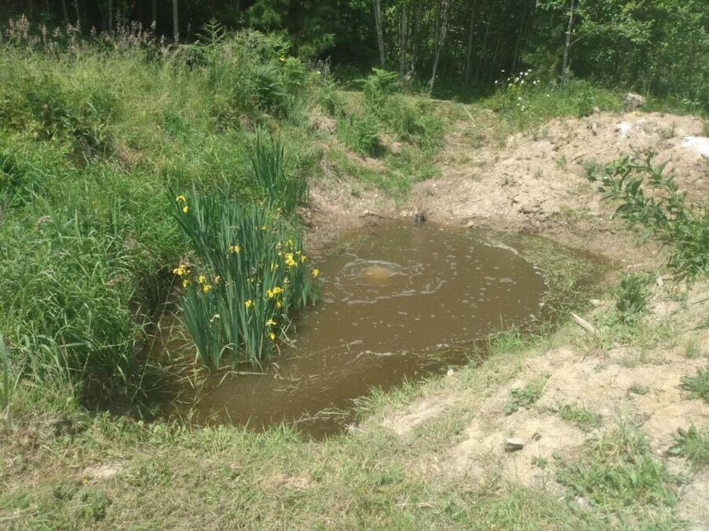 RPS AIR-ation Kits - Solar Pond Aeration System with Brushless Solar A ...